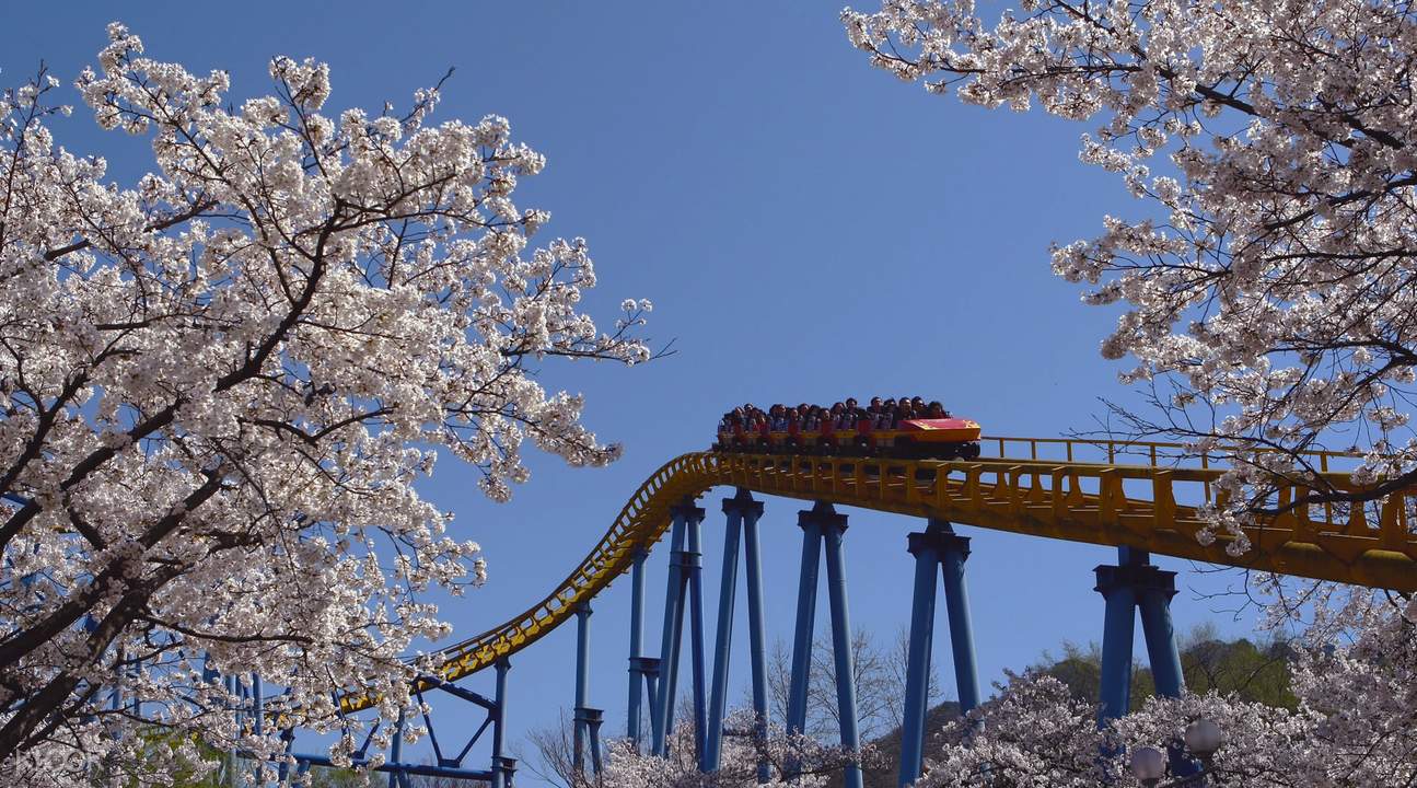 Seoul Land Theme Park Discount Tickets in Gyeonggi-do - Klook