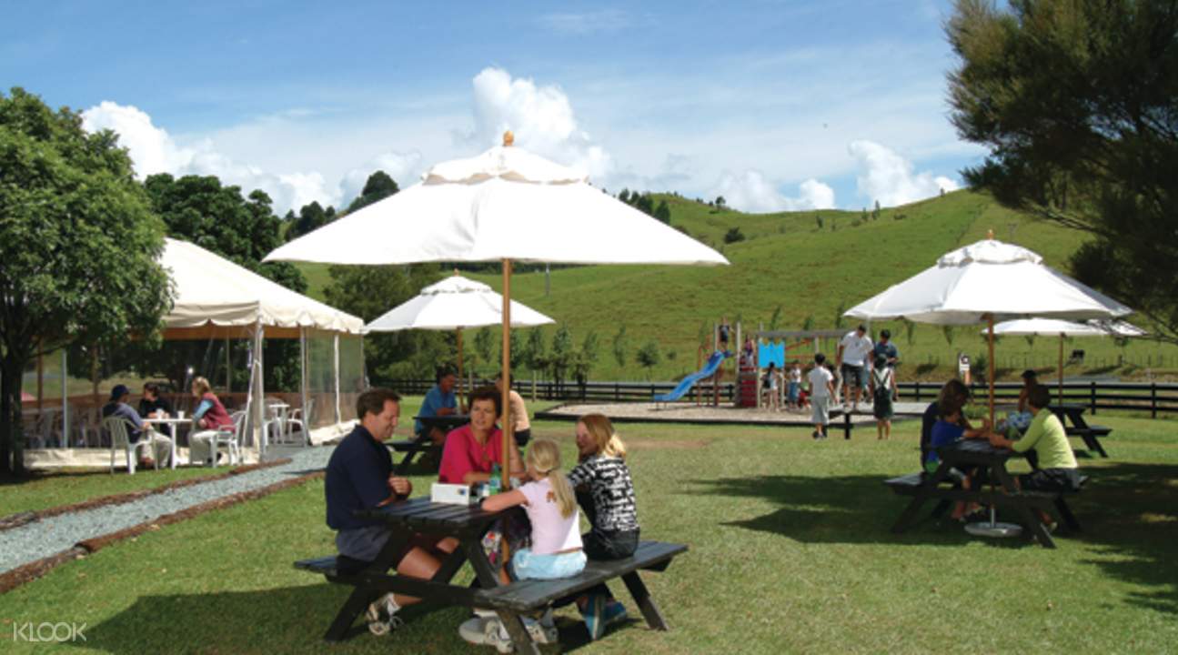 [SALE] Explore SheepWorld: New Zealand's Sheep Farming Experience ...