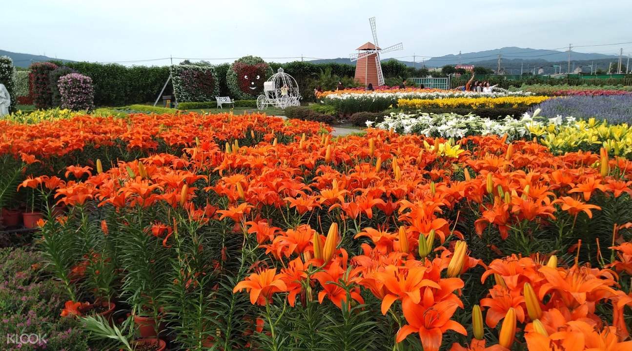 台中热门景点一日游(台北出发) Klook客路 中国