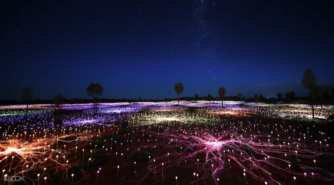 Field of Light Sunrise Tour - Klook Australia