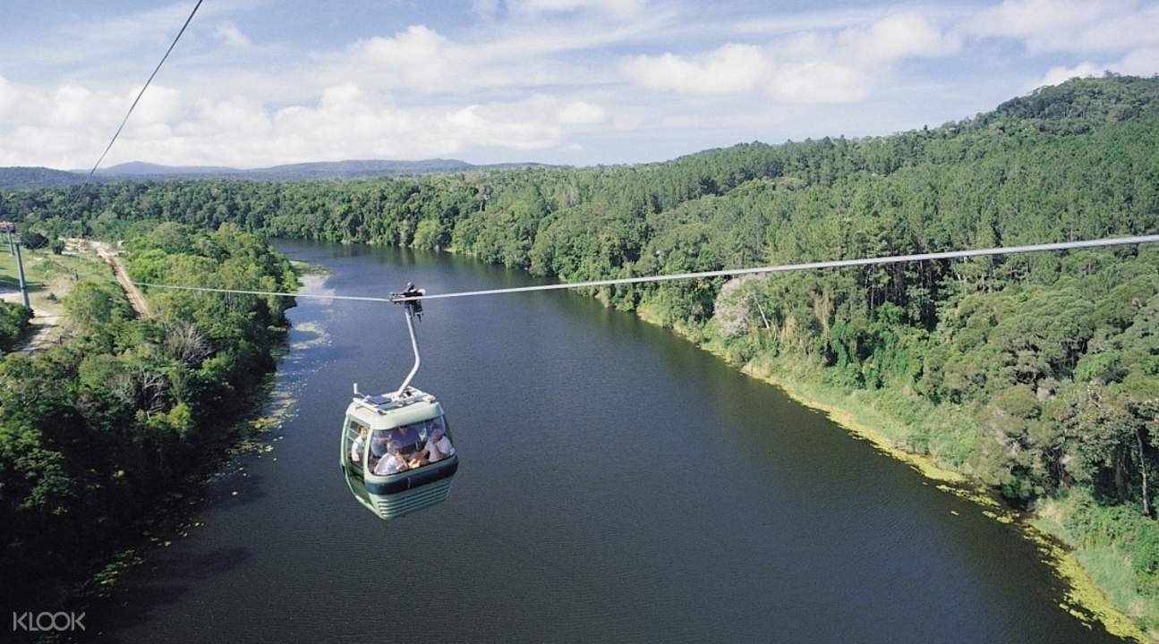 Rainforest Skyrail Cableway Tickets