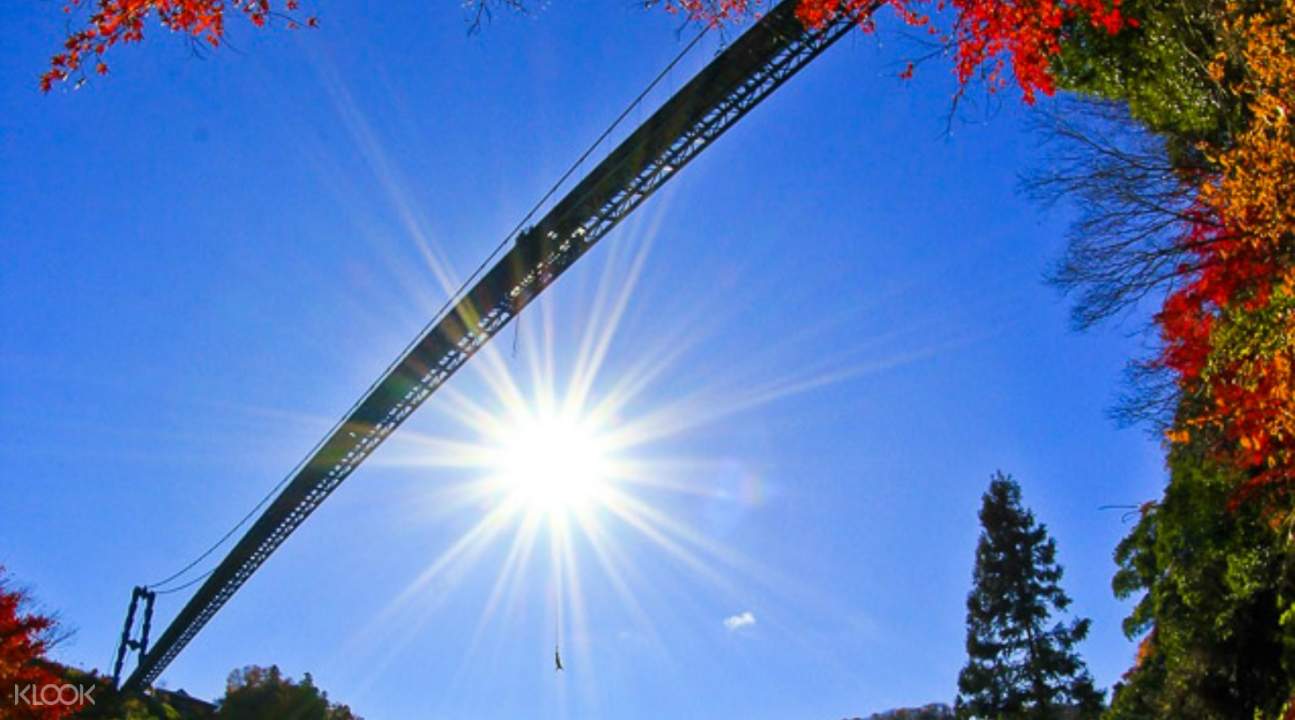 [SALE] Tokyo Day Trip: Thrilling Bungee Jump at Ibaraki's Ryujin Bridge ...