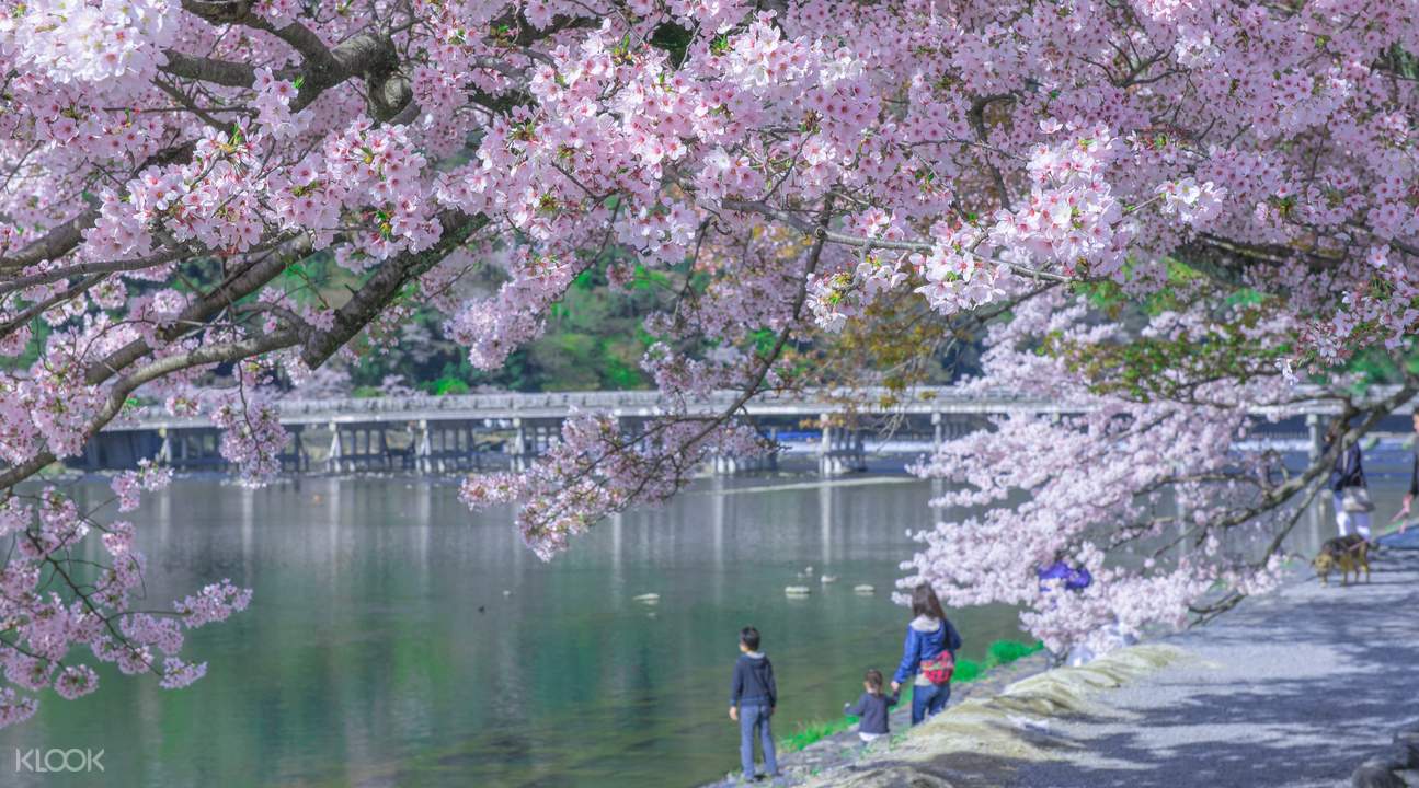 아라시야마 And 나라 공원 일일 투어 오사카 출발