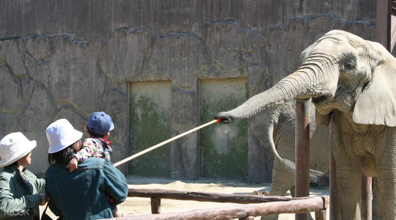 Hybrid Leisure Land Tobu Zoo Ticket Tokyo, Japan