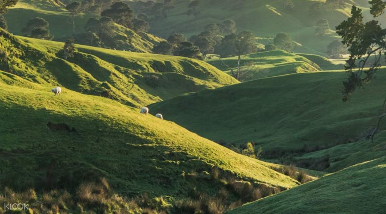 [SALE] Hobbiton Movie Set Guided Tour - Ticket KD