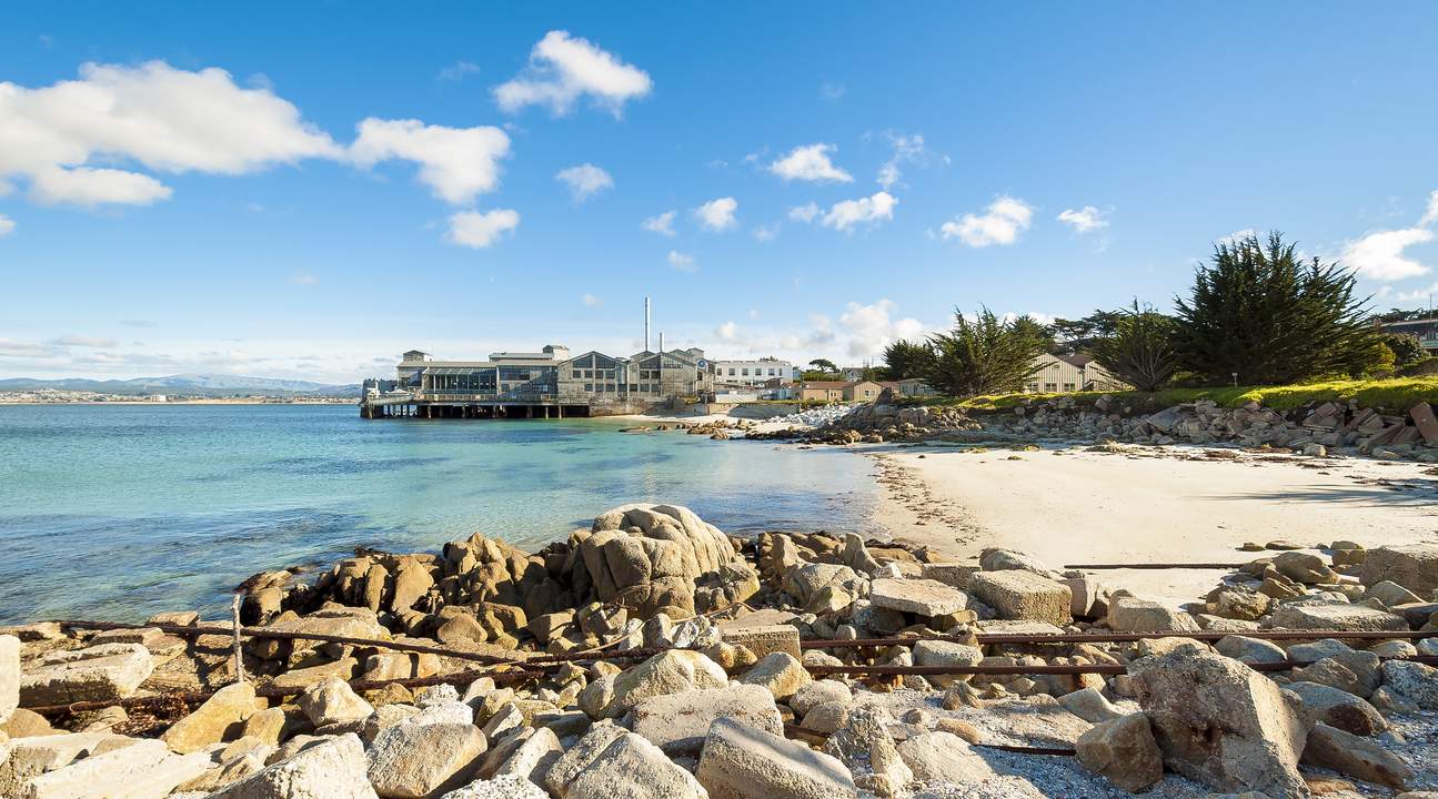 Monterey, Carmel and the 17-Mile Drive Full Day Tour from San Francisco