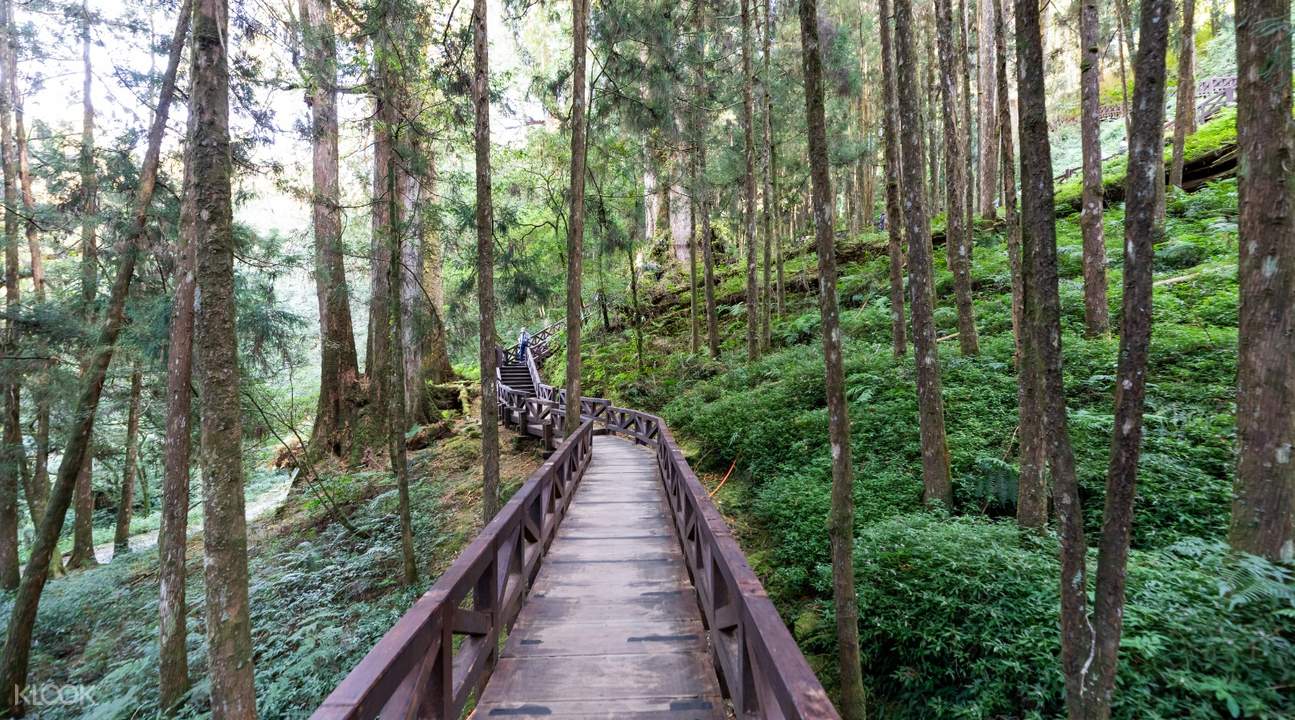 Alishan Forest Railway Day Trip, Taichung, Taiwan
