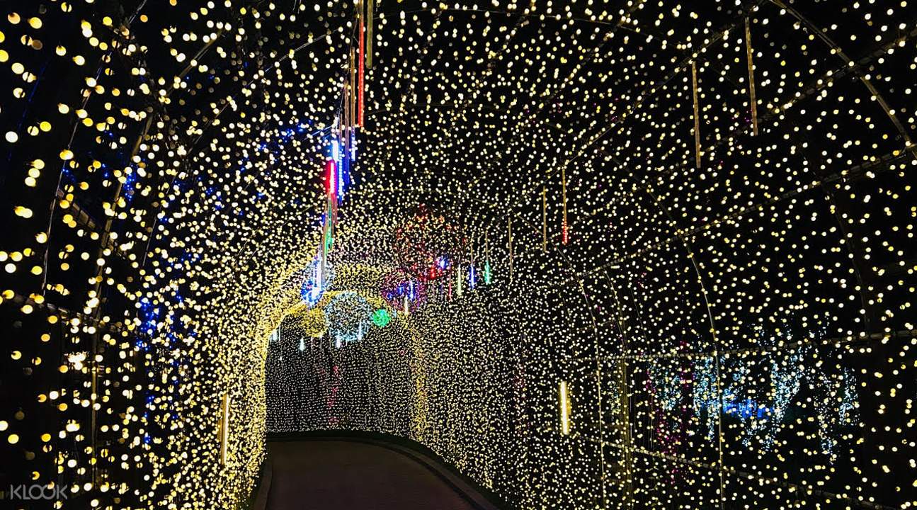 [SALE] Explore Busan's Nighttime Wonders - Ticket KD