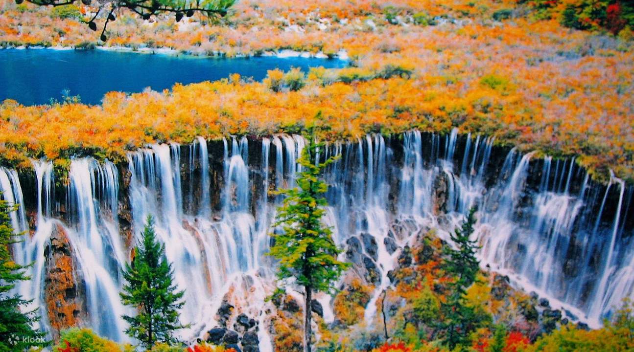 4 Day Jiuzhaigou Private Tour With Flights - Klook India