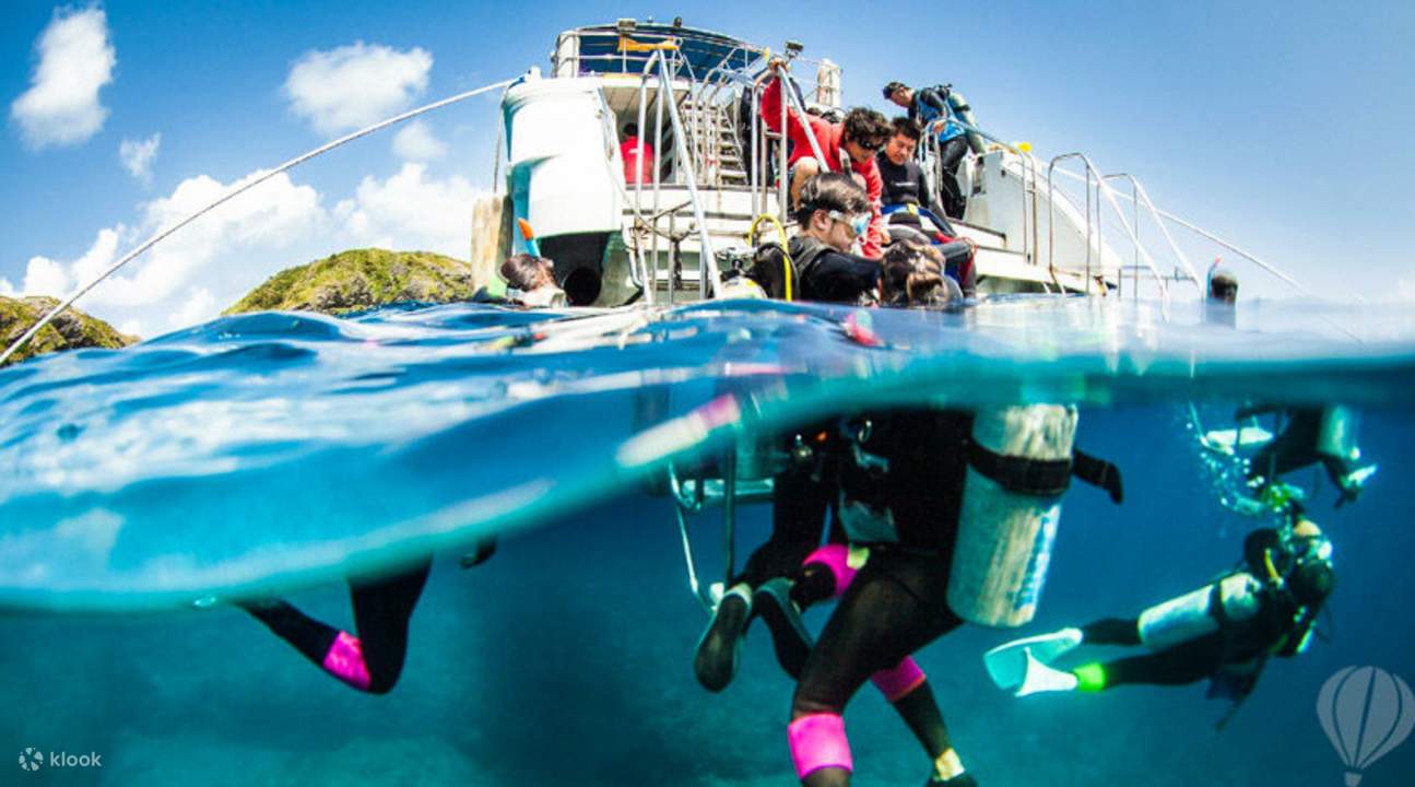 Immersioni sull'isola - Klook Stati Uniti