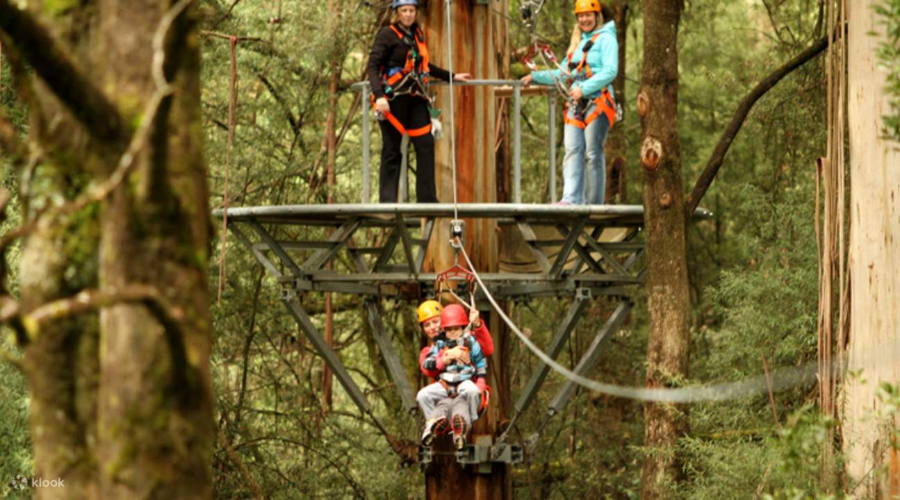 Otway Fly Zipline Experience - Klook États-Unis