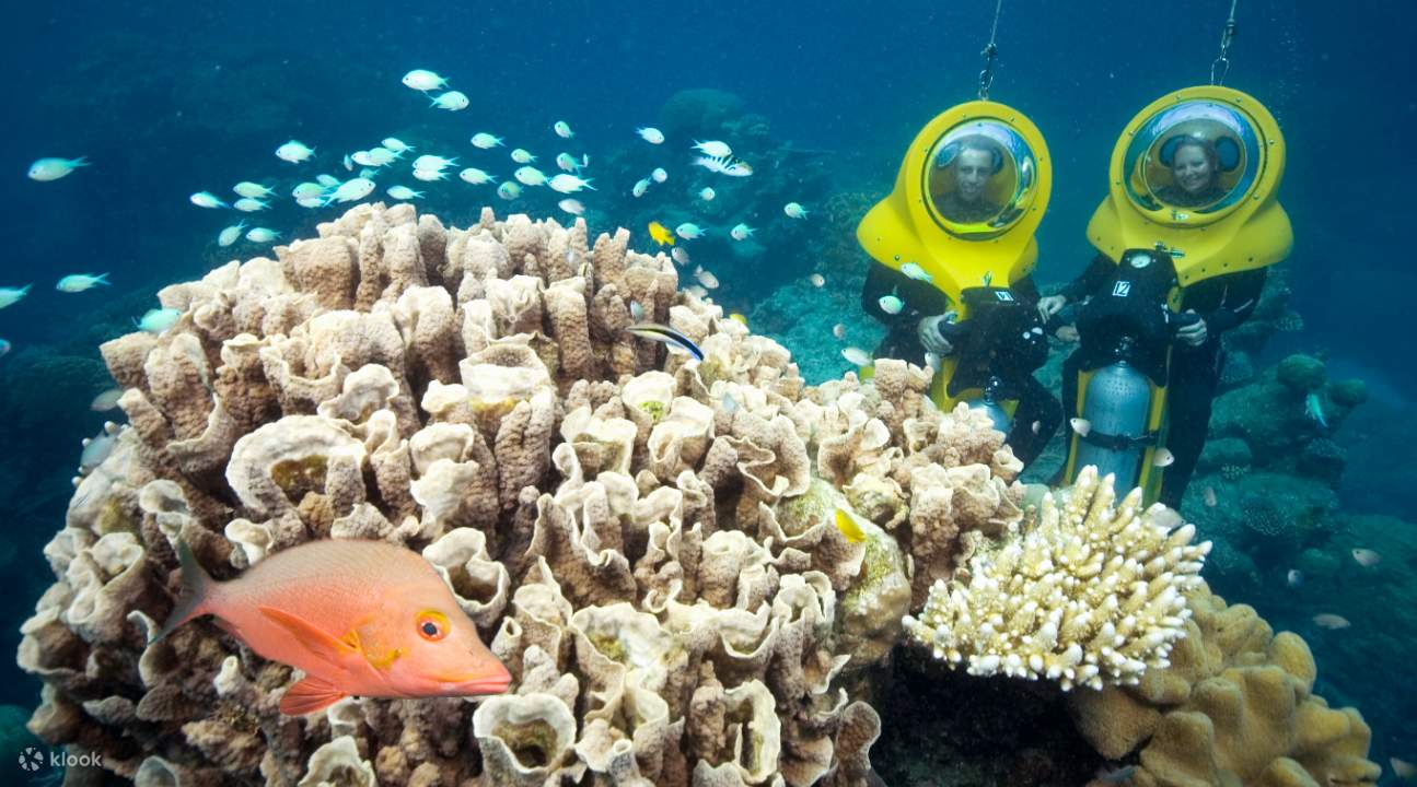 Great Barrier Reef Adventure from Cairns - Klook