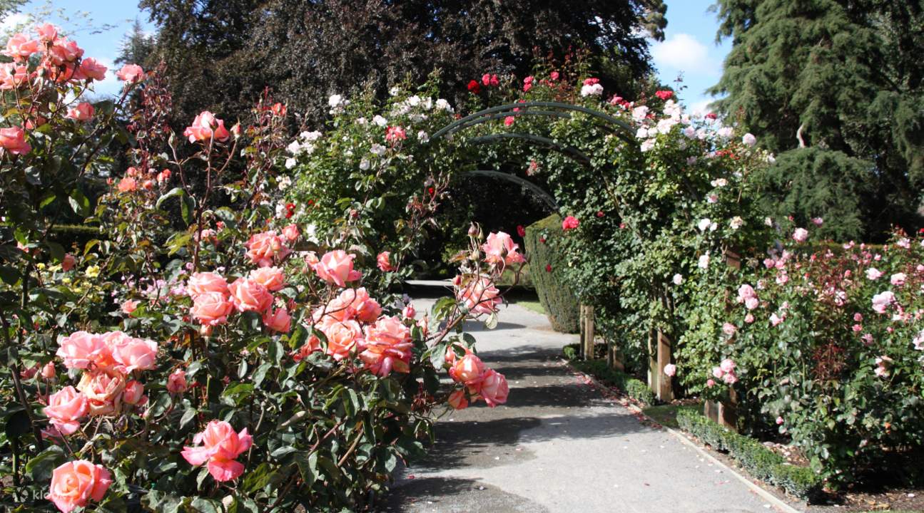Christchurch Botanic Gardens Tour - Klook