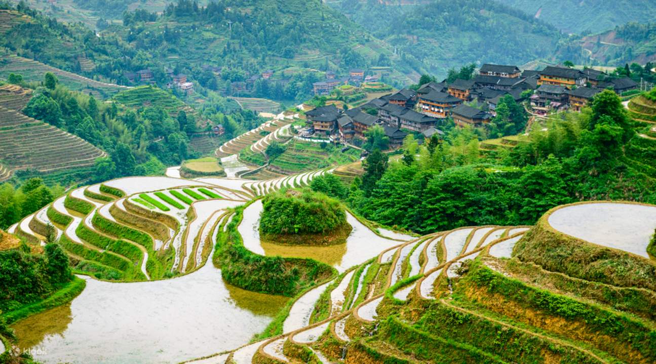 Longji Rice Terrace Fields & Minority Villages Private Day Tour - Klook ...