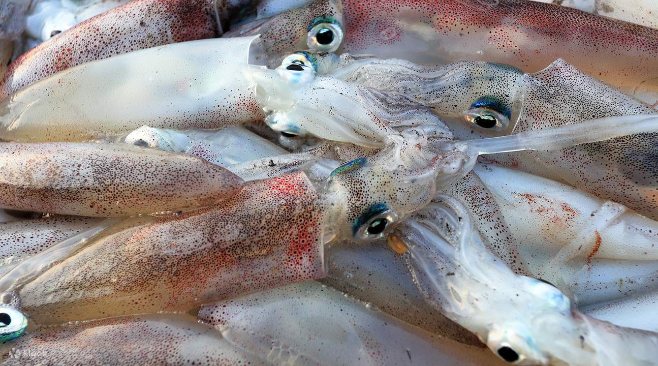 Penghu Neritic Squid Night Fishing - Klook