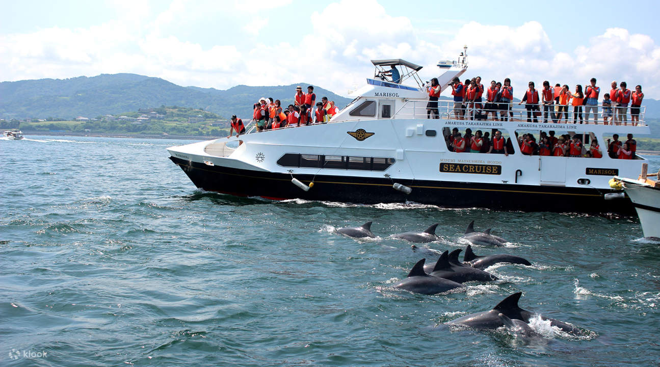 Dolphin Watching Experience in Amakusa - Klook