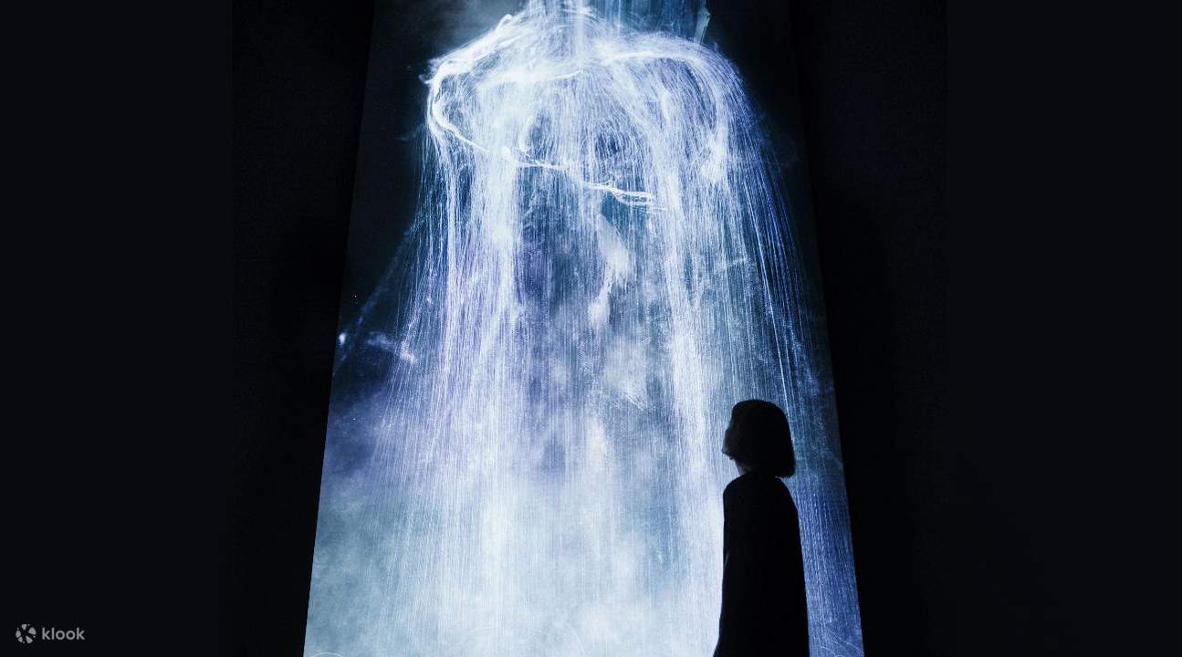 teamLab Art Exhibition Ticket in Shenzhen, China - Klook Singapore