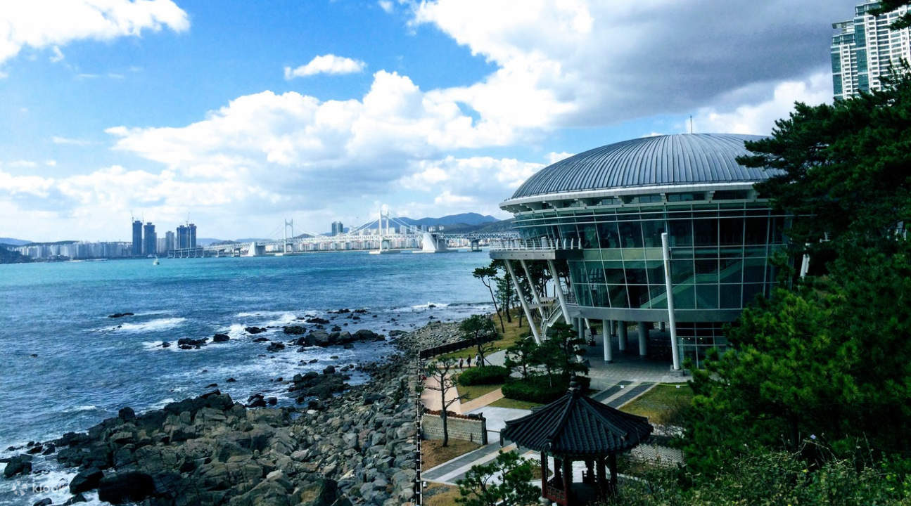 East Busan Morning Exploration Tour - Klook