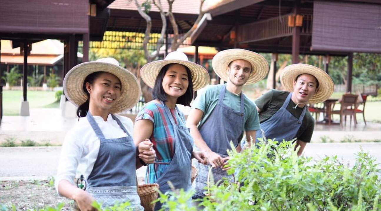 Grandma's Home Cooking School in Chiang Mai - Klook