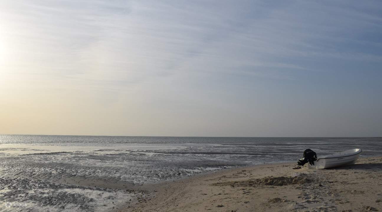 Get In Touch with Nature in This Inland Sea Day Trip from Doha - Klook