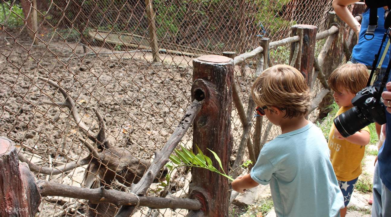Tur Cagar Biosfer Can Gio Mangrove dengan Speedboat dari Ho Chi Minh ...