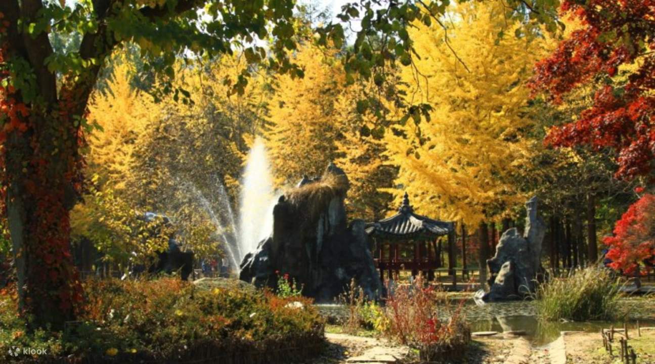Nami Island, Soyanggang Skywalk, & DIY Soba Noodles Autumn Day Tour - Klook