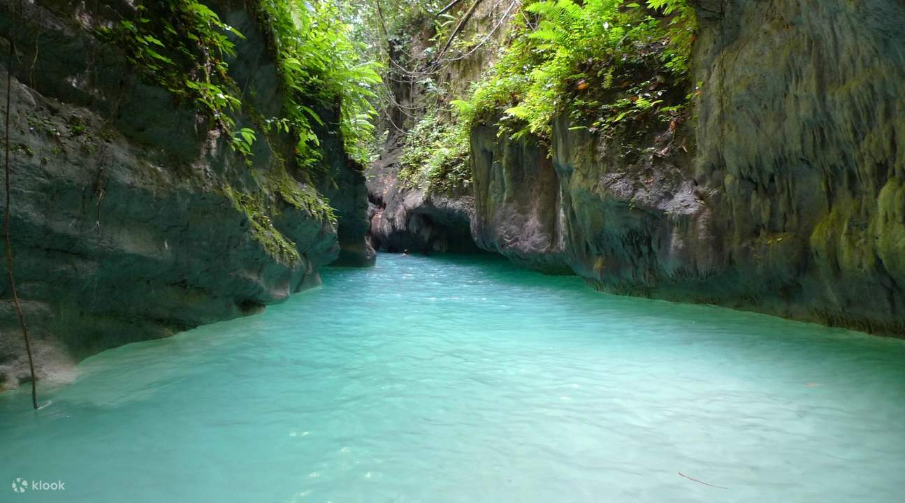 Badian Canyoning à Cebu et visite des cascades de Kawasan - Klook États ...