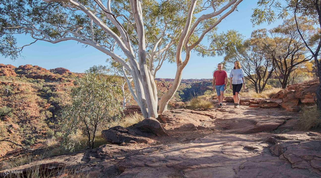 Tour dei panorami del Kings Canyon e dell'Outback da Alice Springs ...