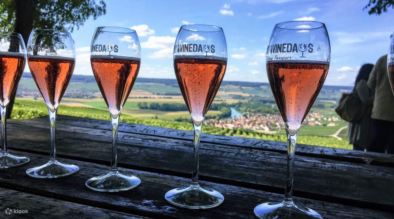 Premium Champagne Wine Tasting Day Tour from Paris with Lunch and Pick ...
