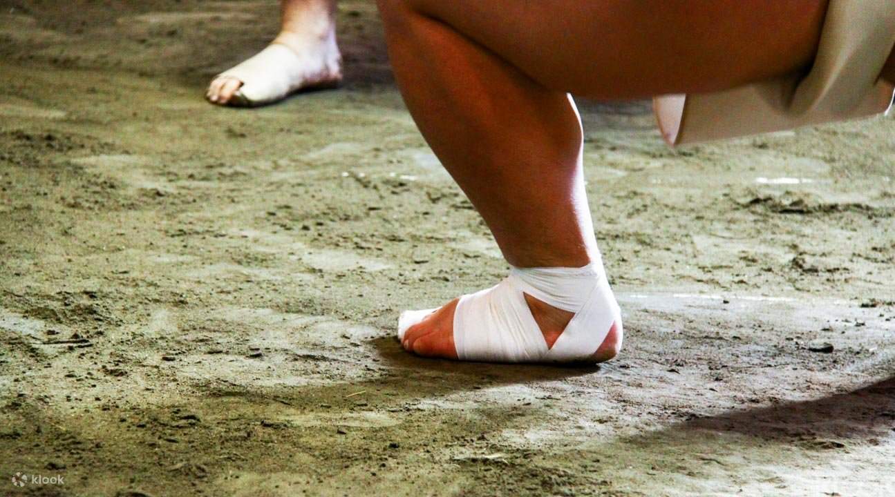Sumo Practice in Tokyo - Klook