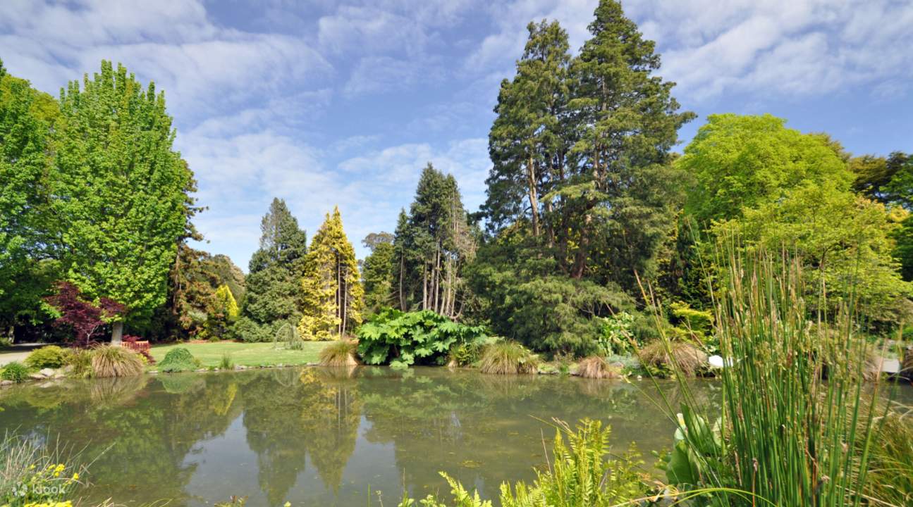 Christchurch Botanic Gardens Tour - Klook