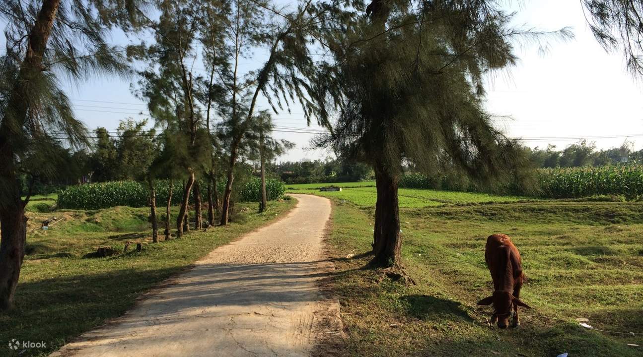 Fahrradtour zur Insel Cam Kim ab Hoi An, Vietnam - Klook, Vereinigte ...