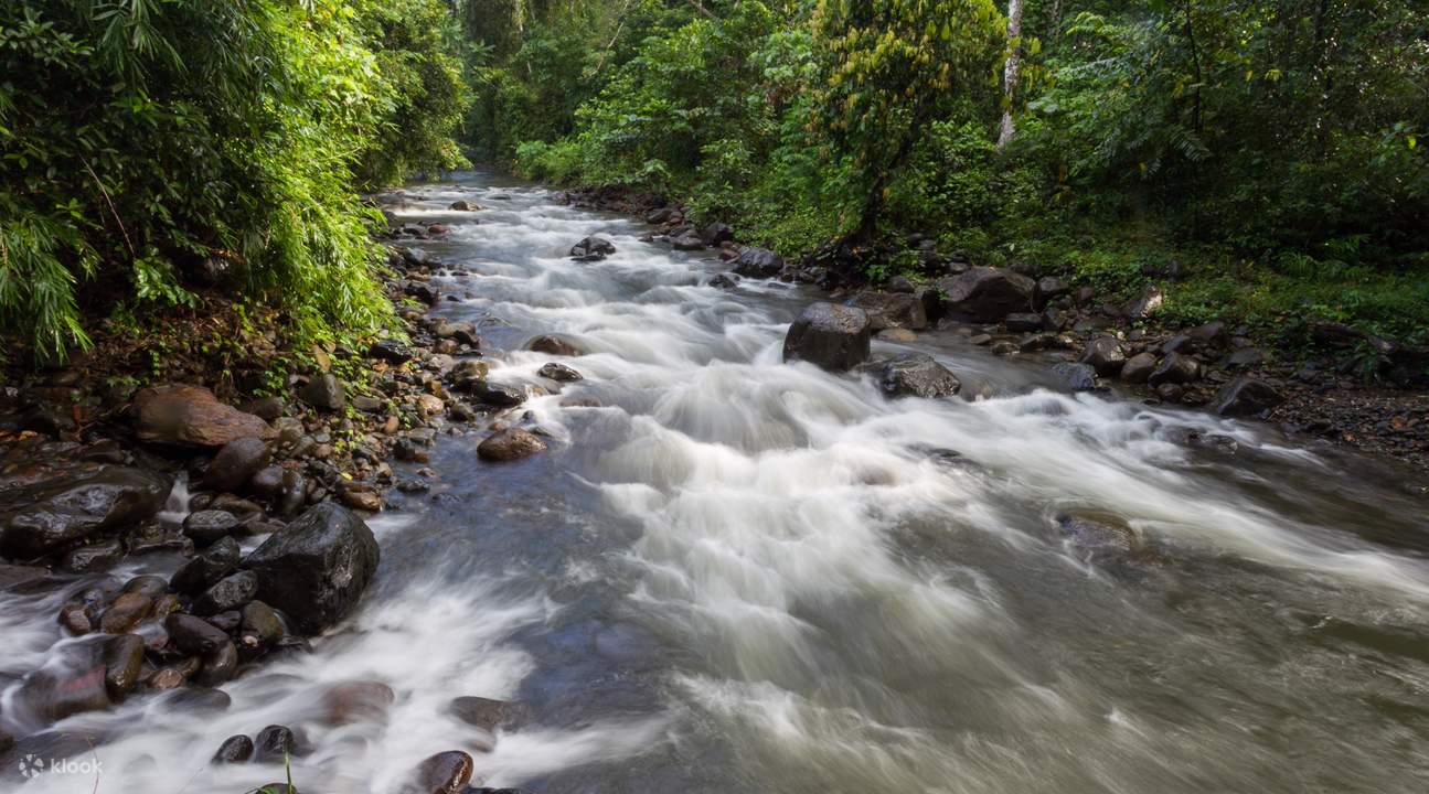 Puerto Princesa Balsahan River and Trail - Klook