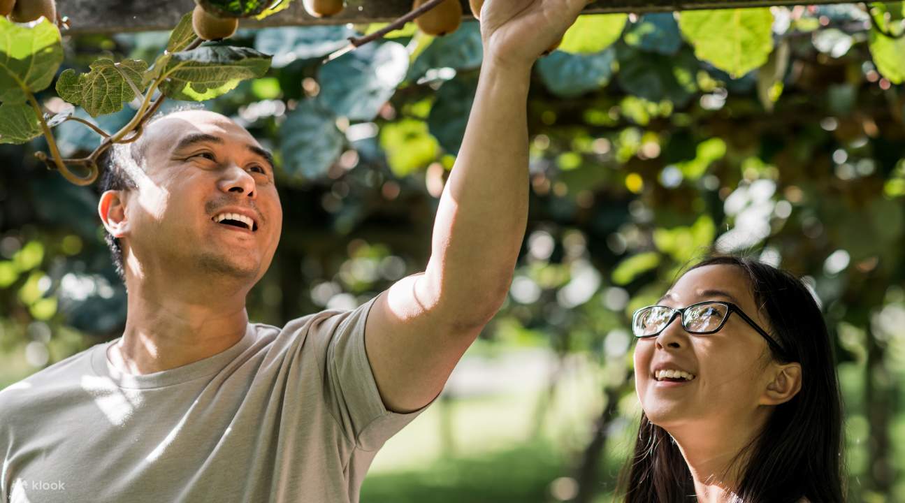 Agrodome Farm Admission Ticket in Rotorua, New Zealand - Klook