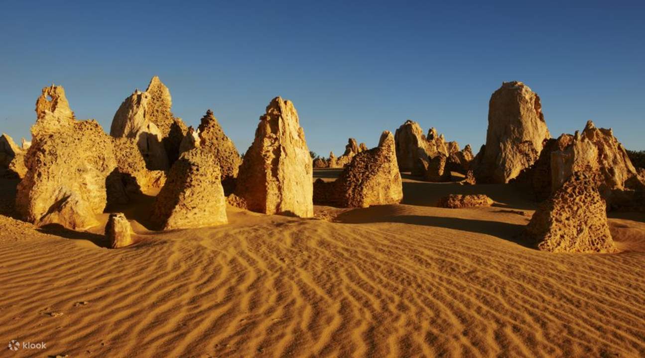 Pinnacle Desert Explorer with Lancelin Sandboarding Full Day Tour ...