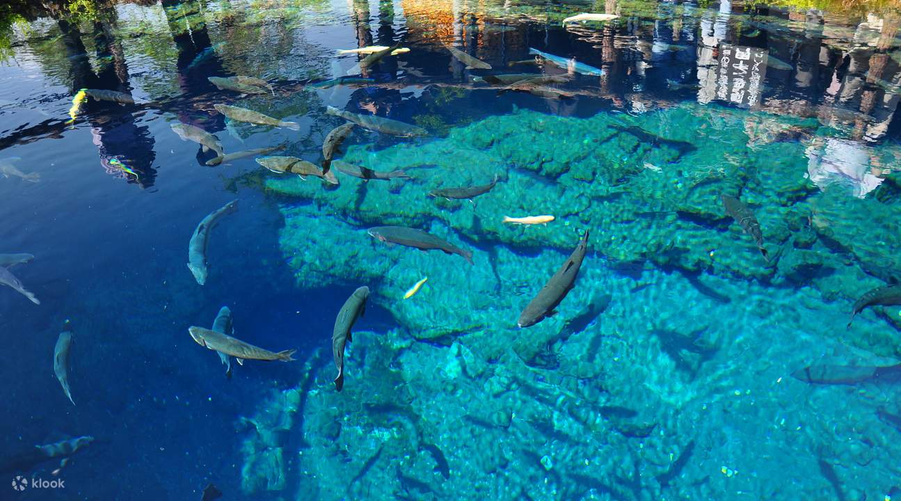 Mt.Fuji 5th Station, Lake Kawaguchi, and Oshino Hakkai Join In One Day ...