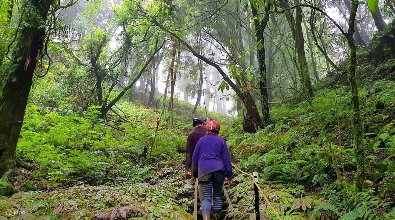 Waitomo Off the Beaten Track Eco Tour from Rotorua, New Zealand - Klook ...