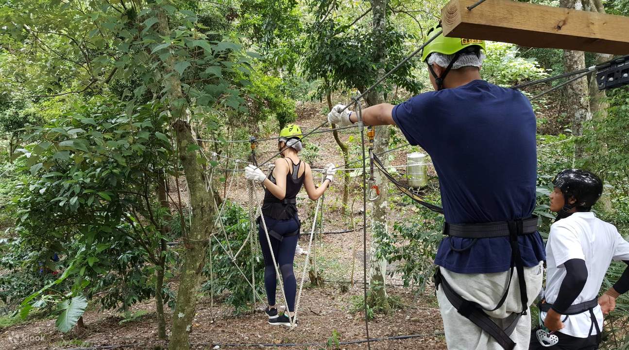 Wild Monkey Adventure Jungle Zipline Experience in Hualien - Klook