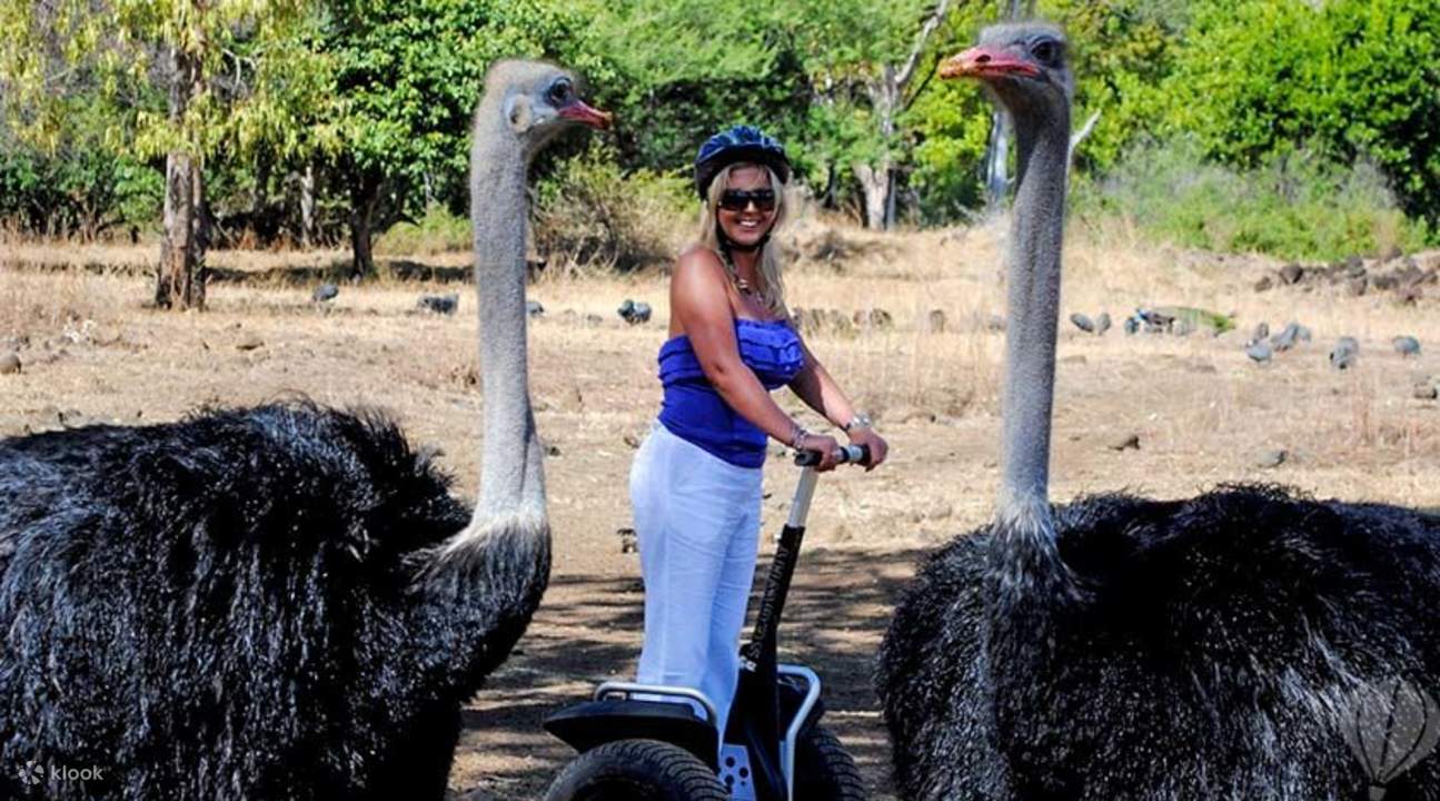 Casela Nature & Leisure Park Discounted Tickets - Klook