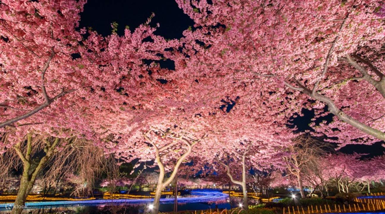 Nagashima Mitsu Outlet & Nabana no Sato Winter Illumination Bus Tour - Klook Philippines