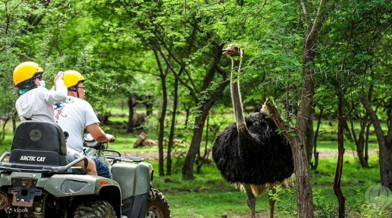 Casela Nature & Leisure Park - Klook United Kingdom