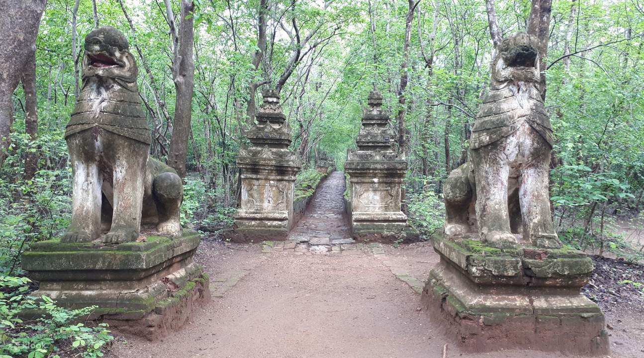 3D2N Ayeyawaddy Dolphin Protected Area Explorer Tour in Mandalay ...