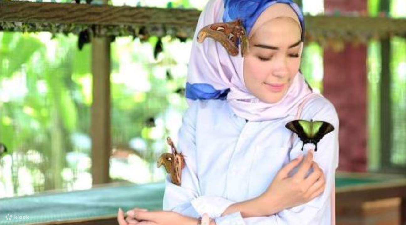 Kemenuh Butterfly Park Ticket in Bali - Klook United Kingdom