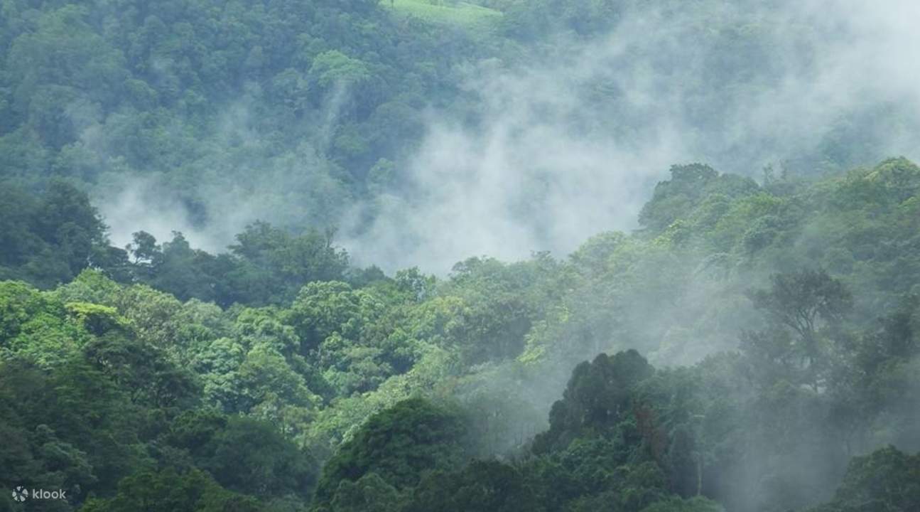 Trek To The Highest Peak Of Coorg - Tadiyandamol - Klook