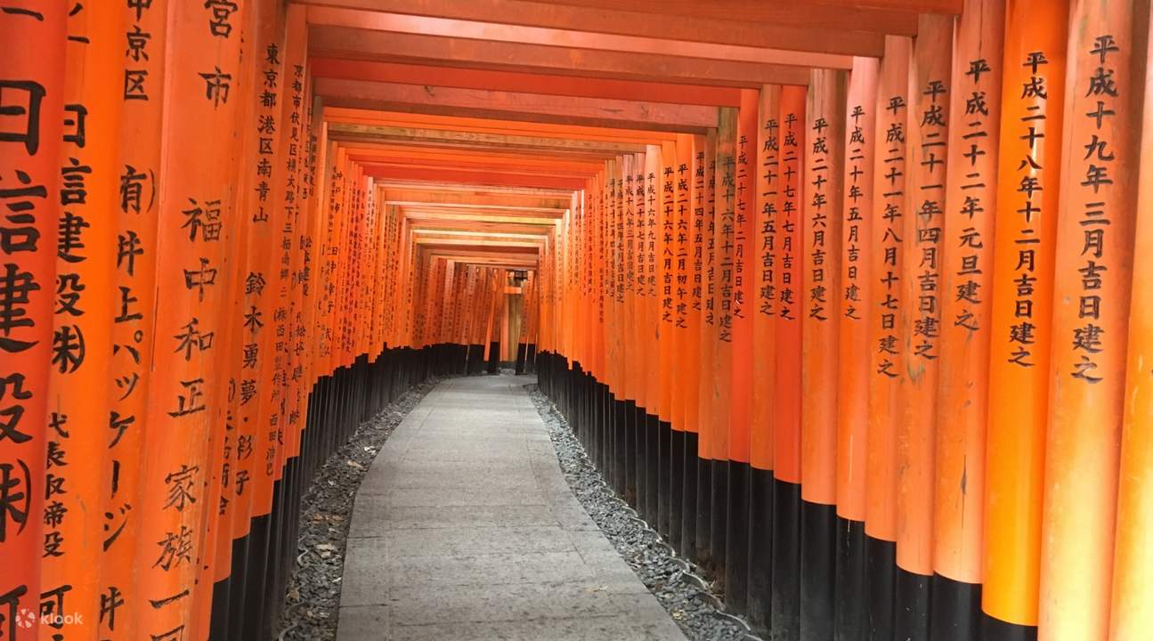 Private Kyoto Half Day/Full Day Walking Tour with English/Japanese ...