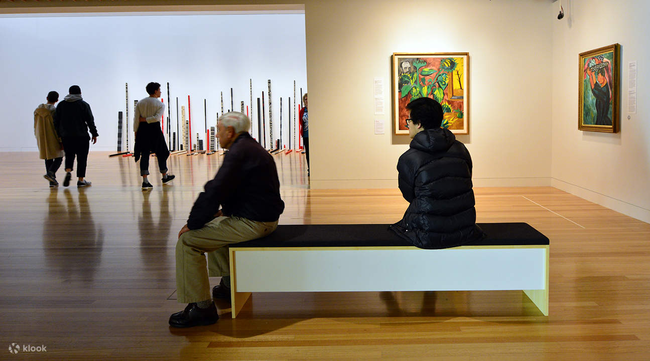 Introducing Te Papa Museum Guided Tour - Klook Australia
