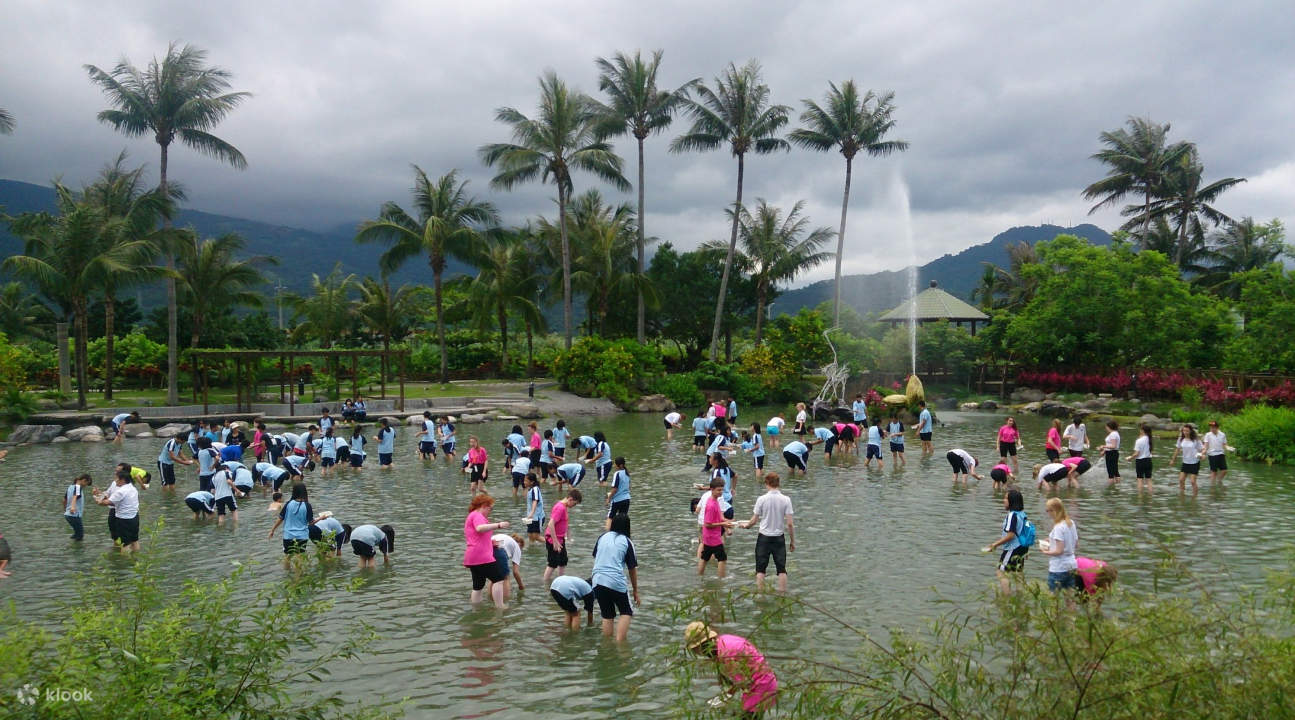 Golden Clam Picking Experience in Hualien - Klook