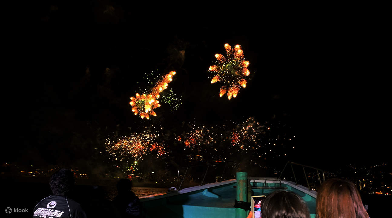 Atami Bay Sightseeing Cruise with Atami Sea Fireworks Festival ...