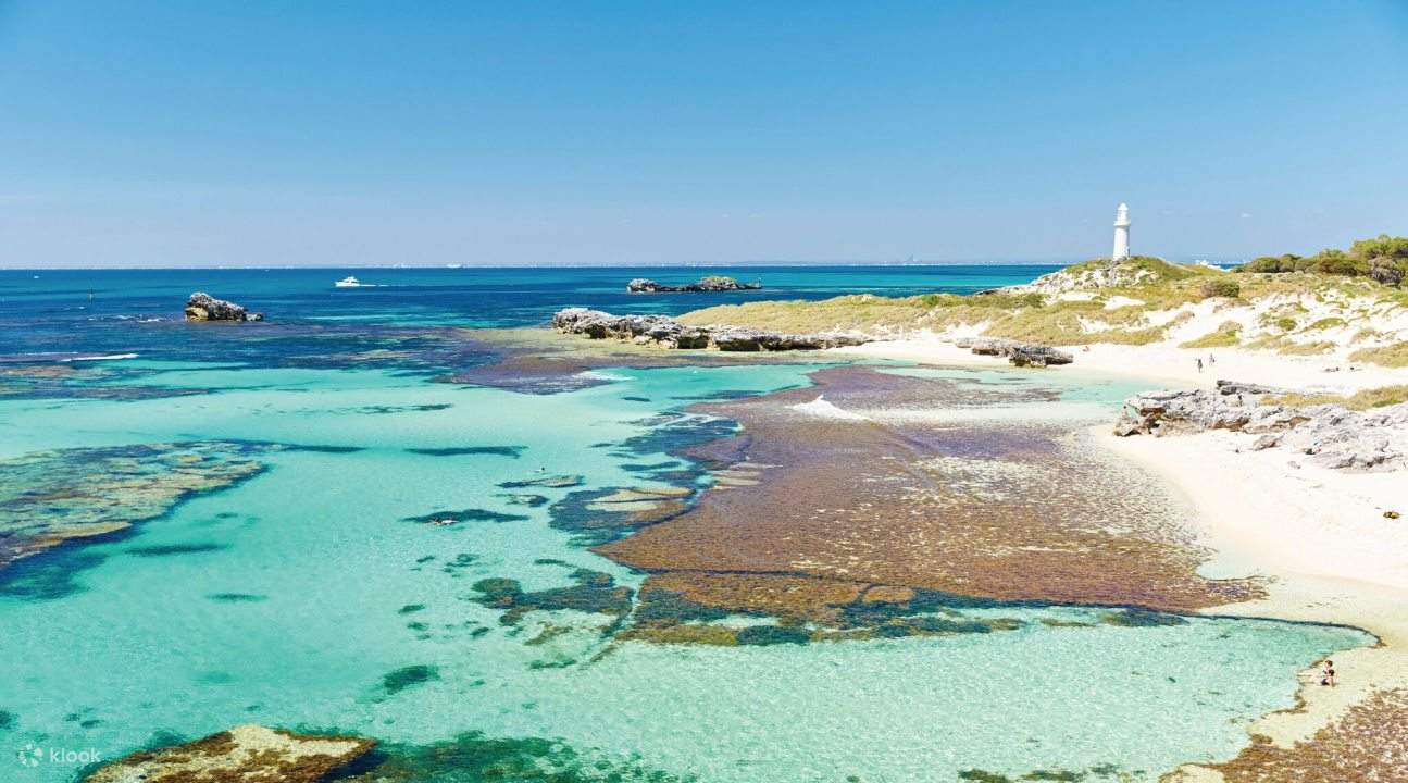 Tur Pesawat Amfibi Pulau Rottnest dari Perth - Klook Indonesia