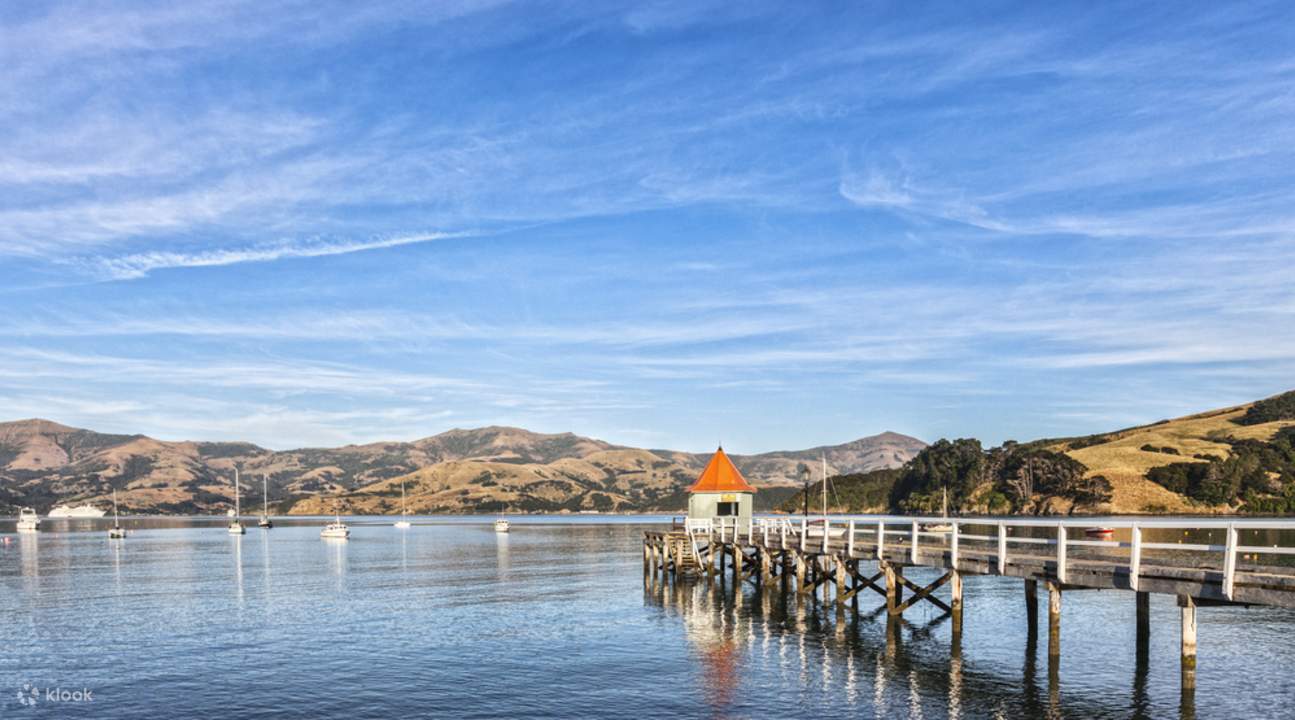 Akaroa Harbour Nature Cruise - Klook